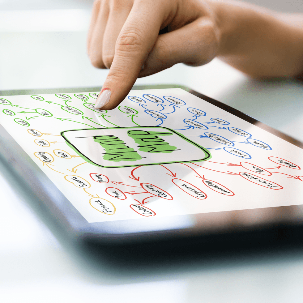 Project & Team Management | Social Innovation Network