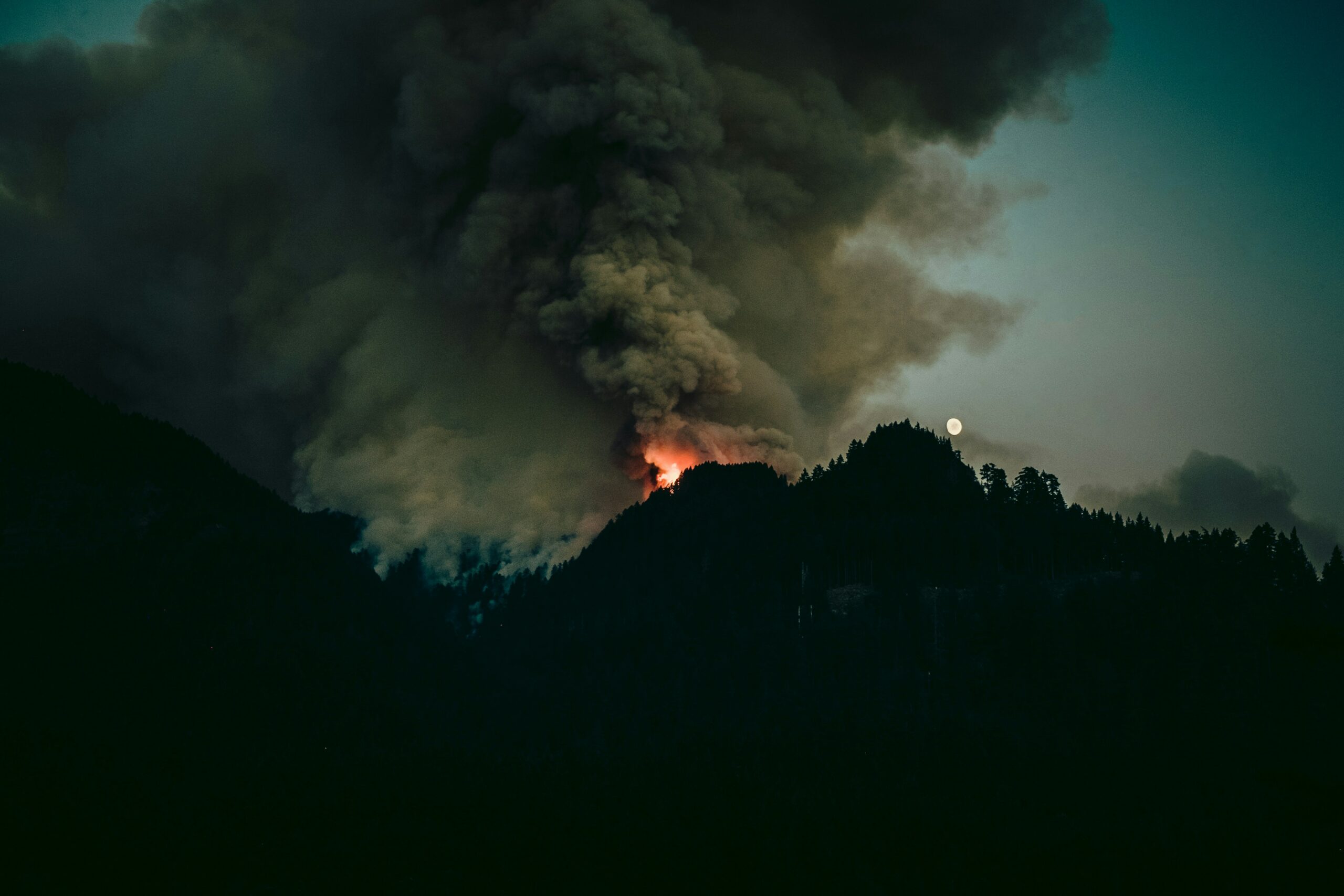 Protecting Our Communities: The Role of Community Service in Wildfire ...